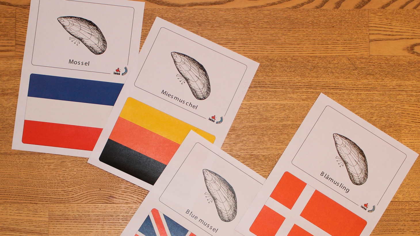 Hvad hedder du? - leg | OS2udoglaer