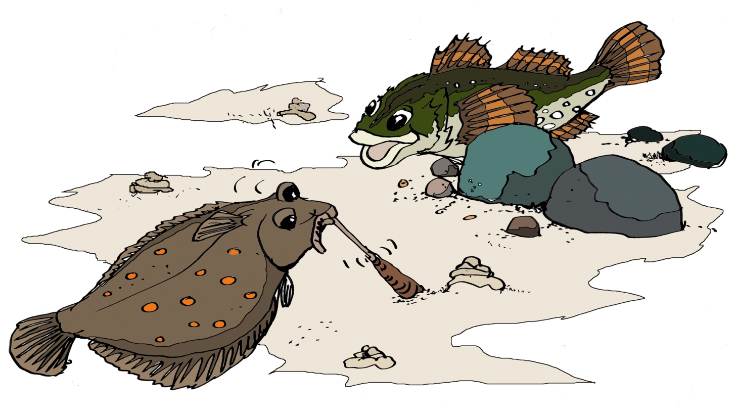 Lær om rødspætte og ulk | OS2udoglaer